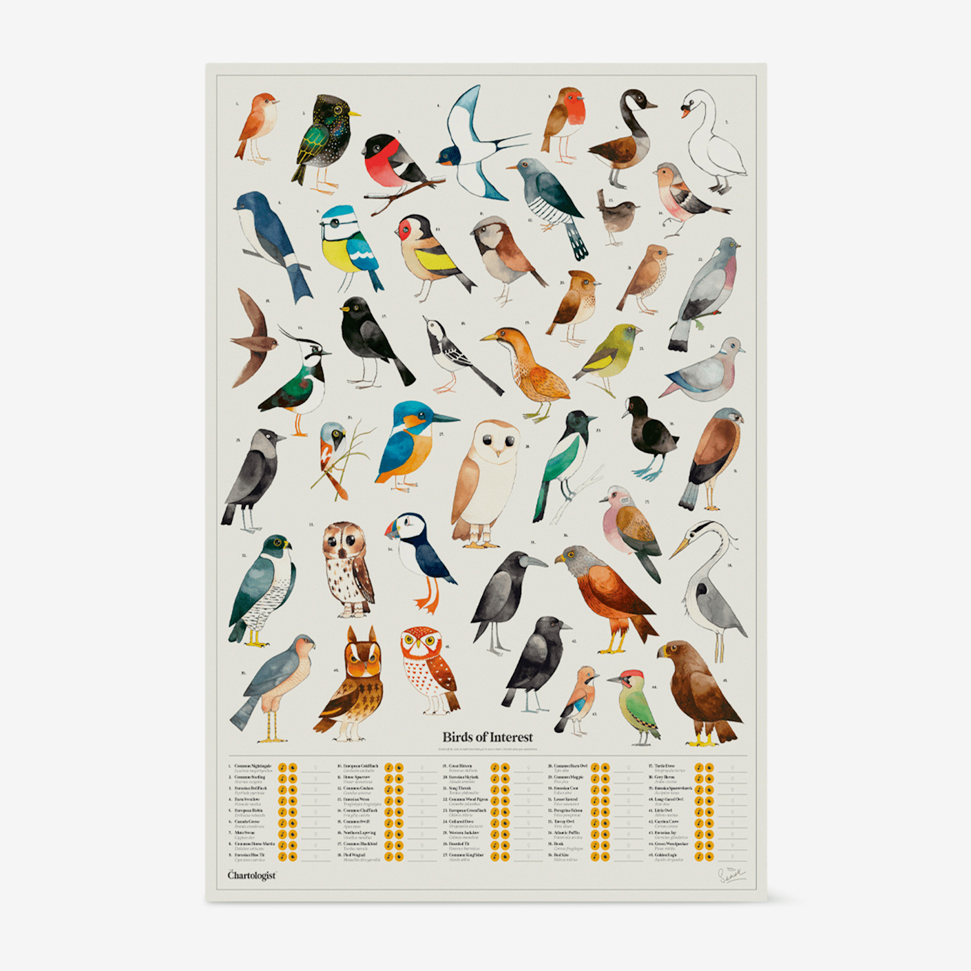 Luckies of London Birds of Interest Poster | Bespoke Post