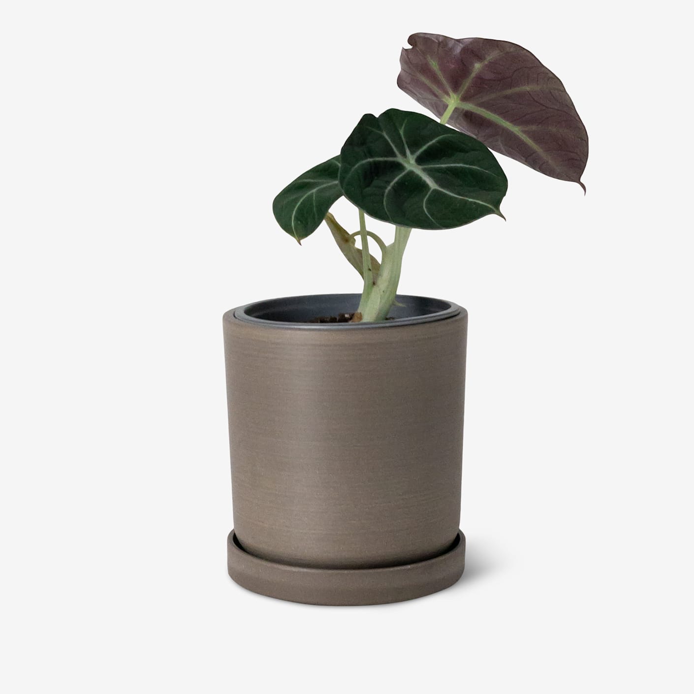 Kanso Designs Upcycled Planter with Saucer – Beachwood | Bespoke Post