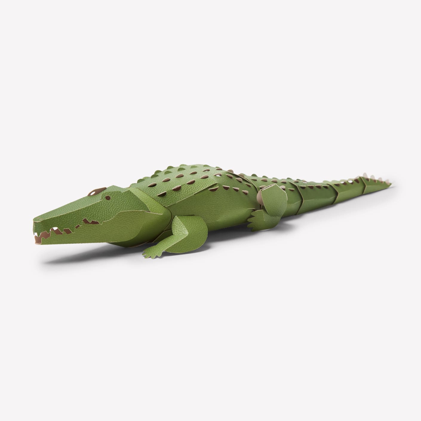 Gallery 91 Japanese Crocodile Model Kit | Bespoke Post