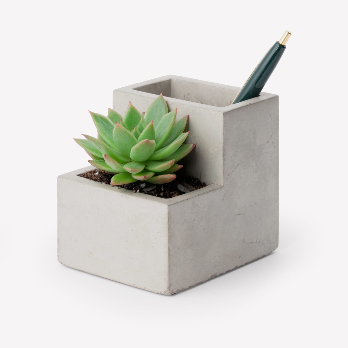 Kikkerland Concrete Desk Planter – Small | Bespoke Post