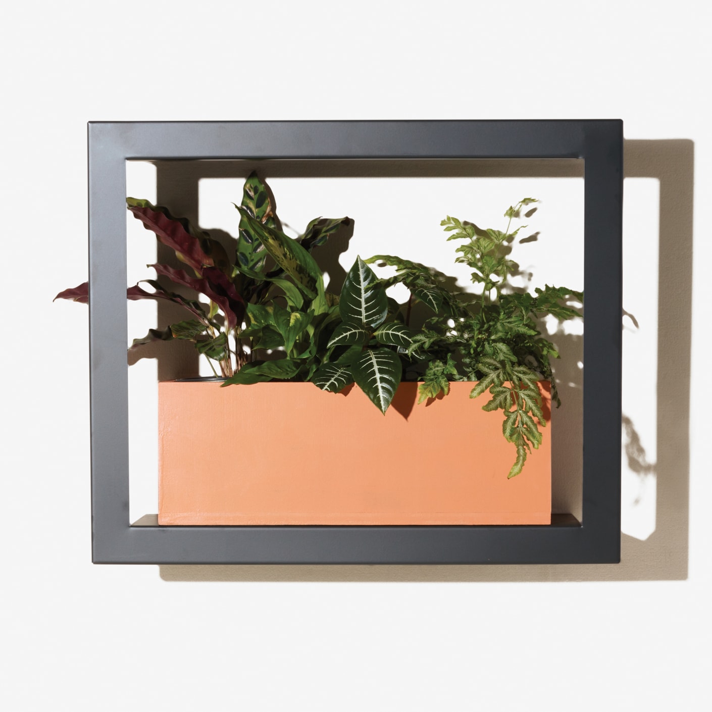 Modern Sprout Smart Growframe – Matte Black | Bespoke Post