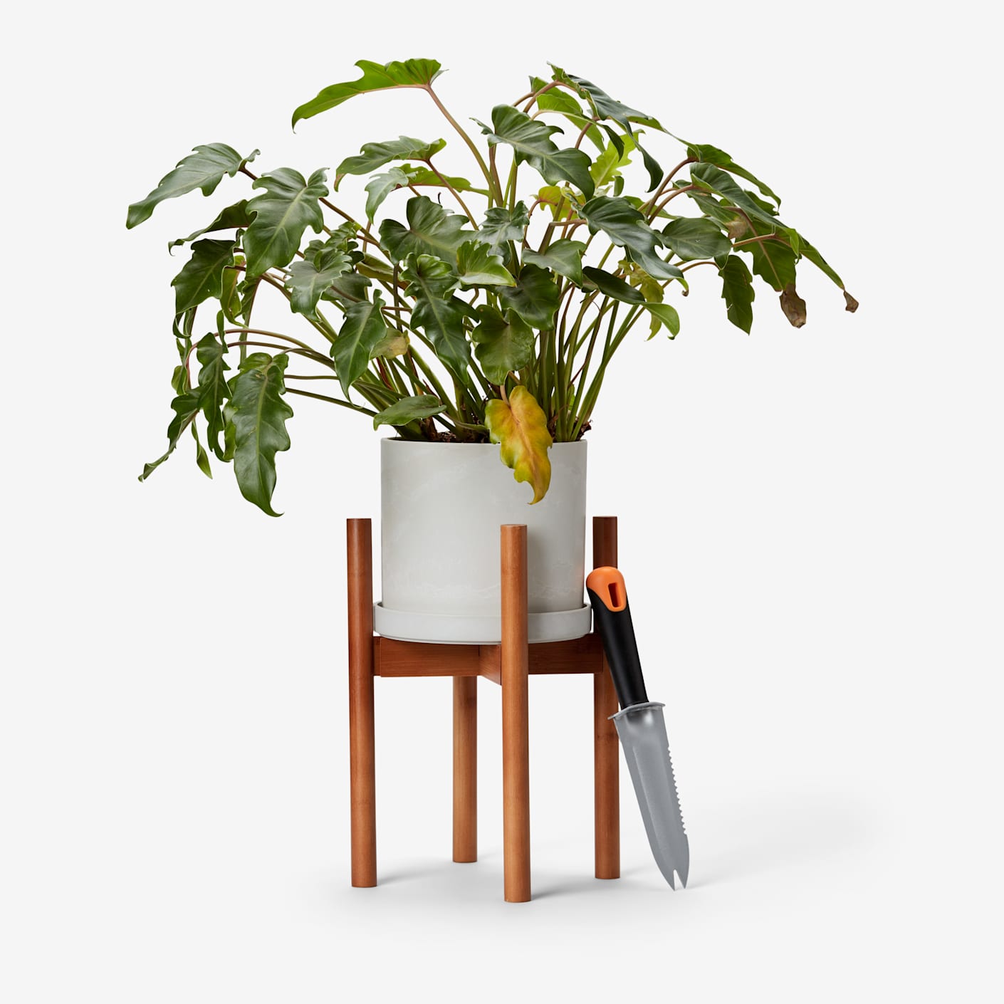 Botanical | Bespoke Post