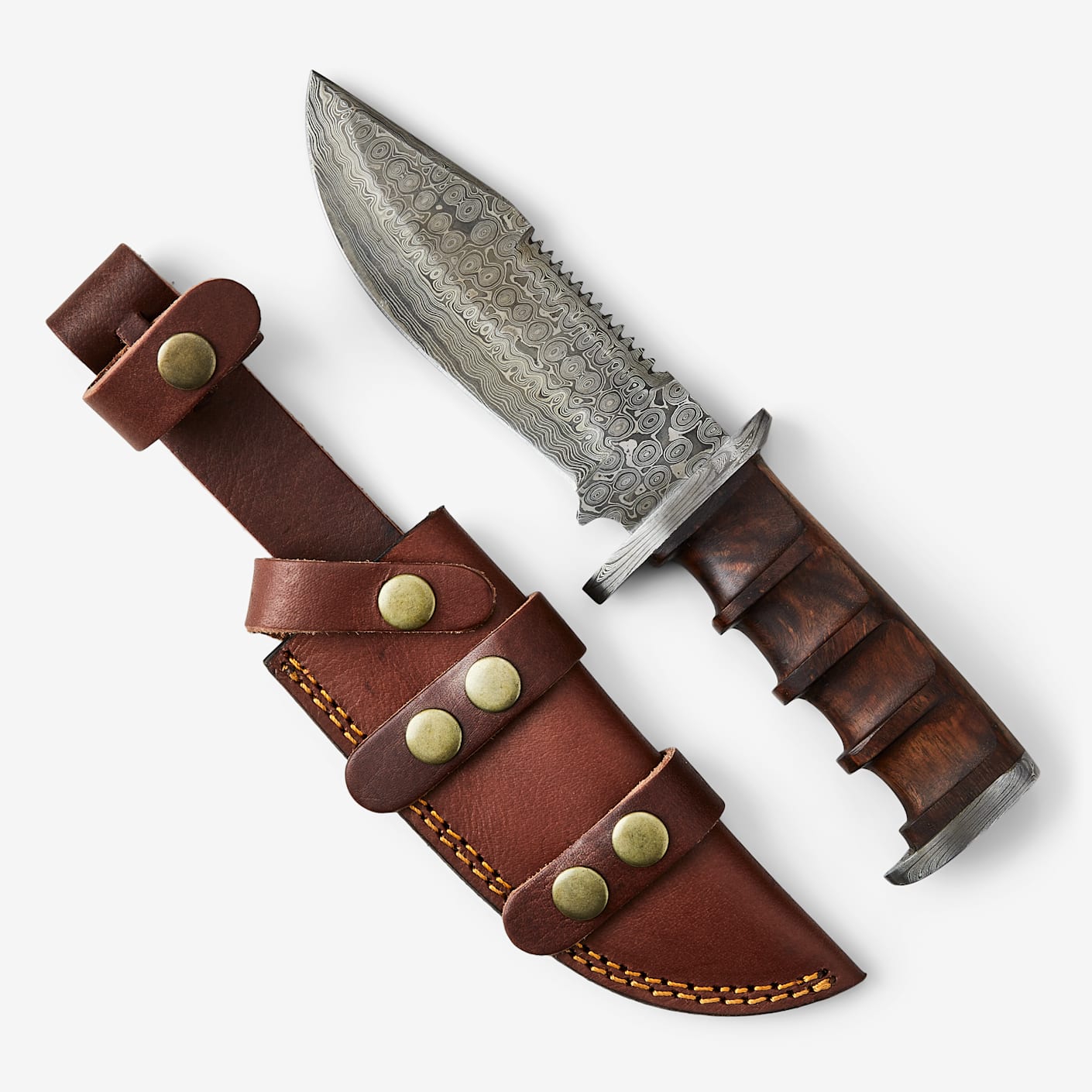 Titan International Black Burl Walnut Damascus Knife | Bespoke Post