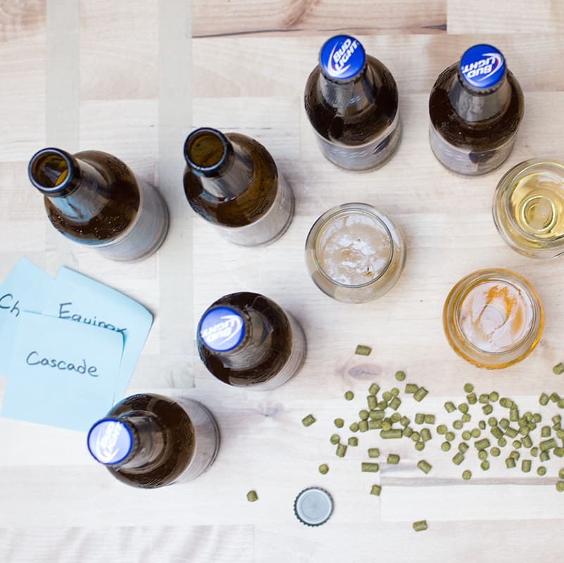 How to Boost Your Beer's Hop Flavor | Bespoke Post