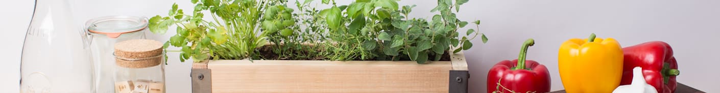 Enhance Grow | Bespoke Post