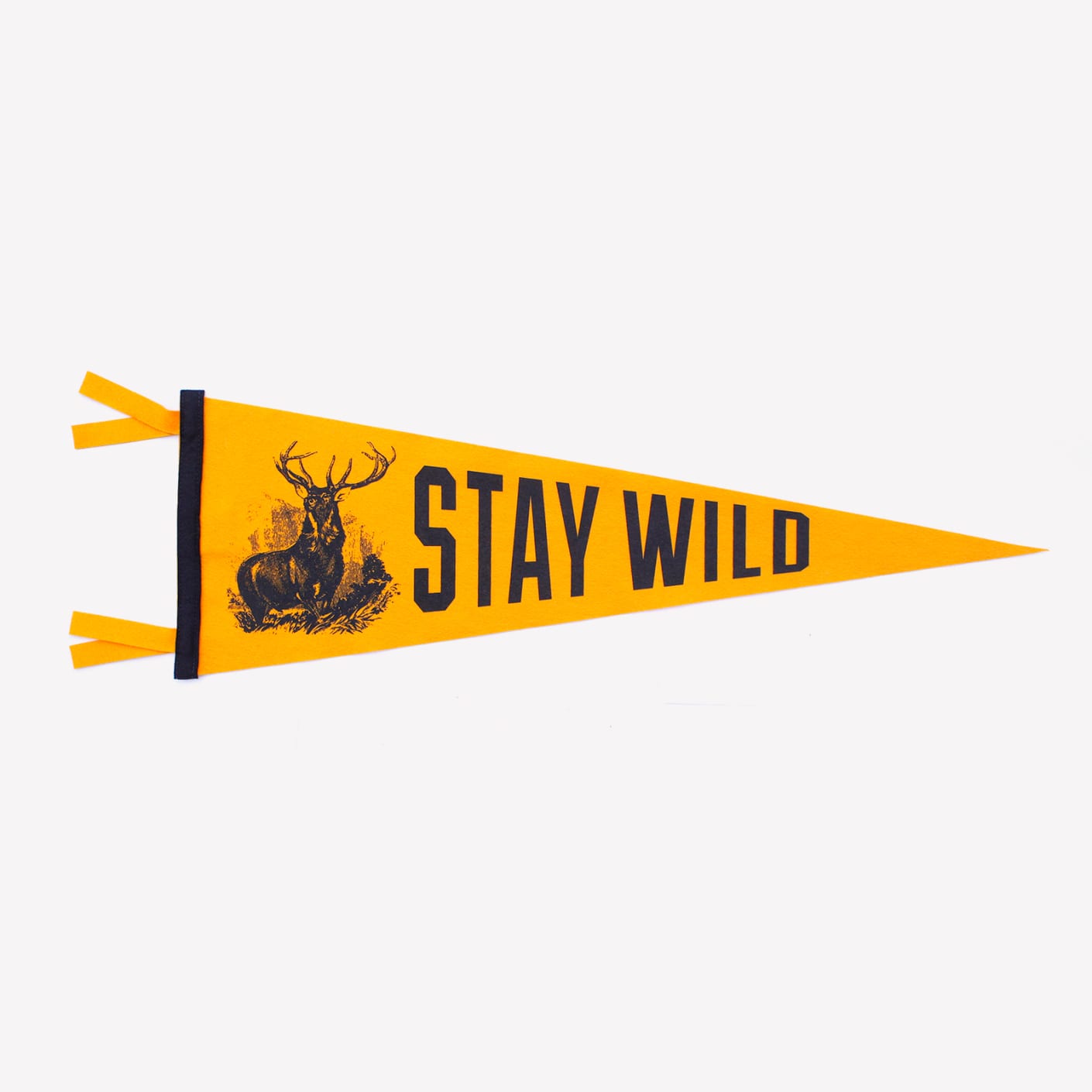 Oxford Pennant Stay Wild Pennant | Bespoke Post