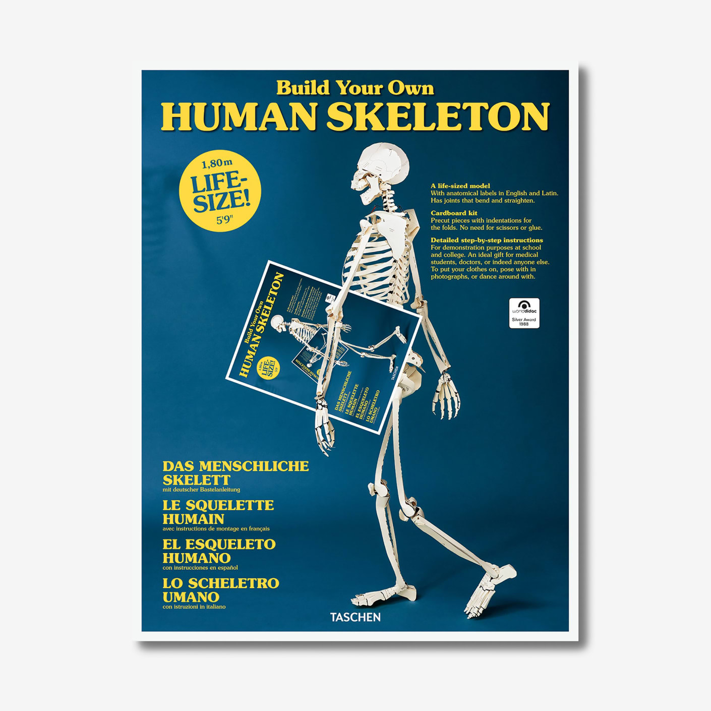 TASCHEN Build Your Own Human Skeleton Kit | Bespoke Post